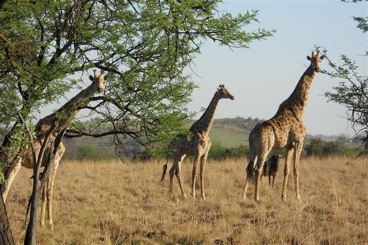 Top 10 homes with the best views | Fine & Country